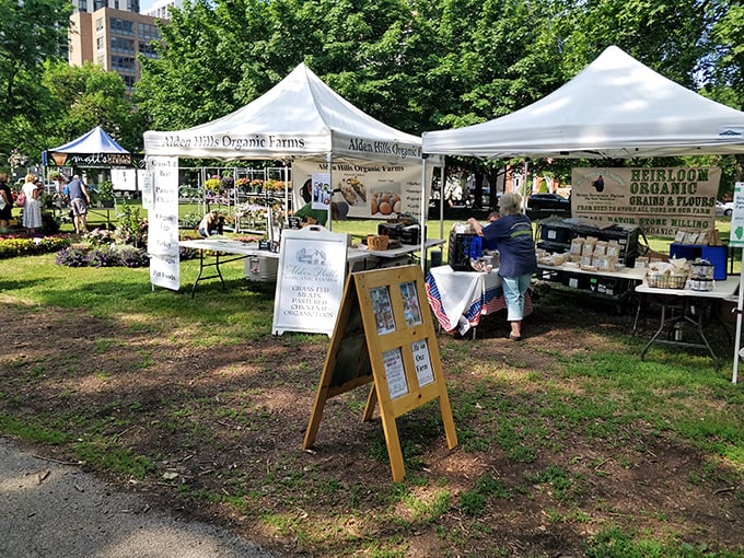 Green City Market&mdash;where urban dwellers reconnect with rural roots under a canopy of trees and white tents.