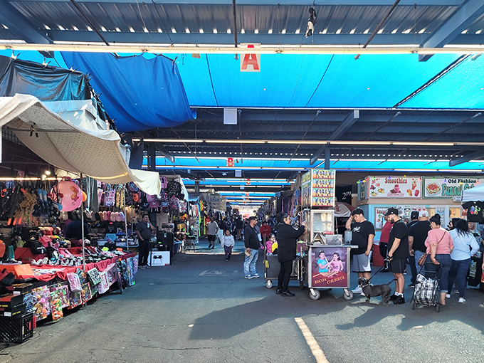 Blue tarp boulevard of dreams! Greyhound's bustling aisle serves up churros and vintage finds&mdash;a sensory carnival where the scent of fried dough mingles with the thrill of discovery.