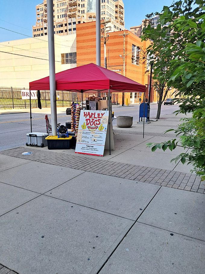 Street food at its finest - that red tent means fresh dogs made right before your eyes.