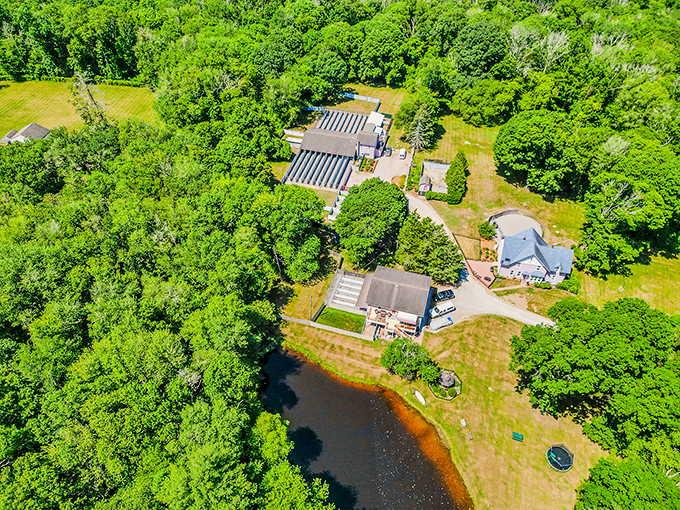 From above, Hopkinton's hidden greenhouse compound looks like a Monopoly player's dream investment, complete with its own reflecting pond.