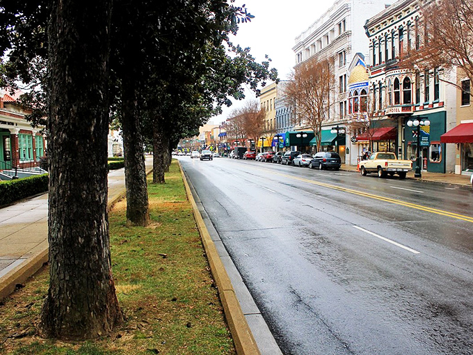 Hot Springs' historic downtown bubbles with the same energy that made this place famous for healing and happiness.
