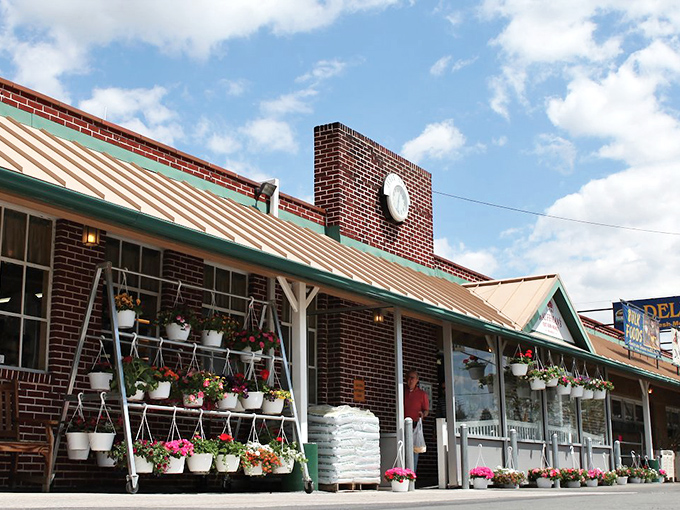 Kauffman Orchards' peach trees create nature's perfect grocery store. Where fruit doesn't travel on trucks&mdash;it just falls into your basket.
