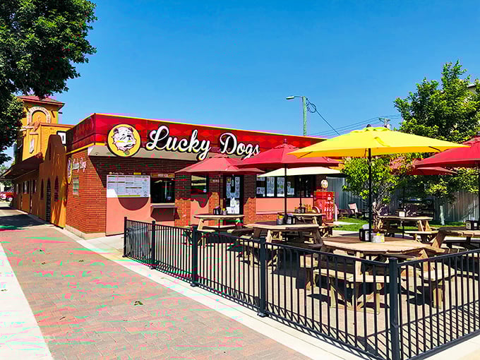 Lucky Dogs' cheerful patio scene is summer in Minnesota personified &ndash; sunshine, fresh air, and the perfect hot dog to complete the picture.