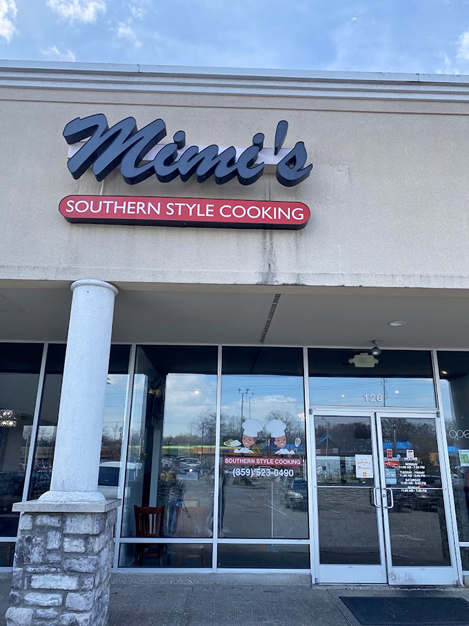 MiMi's clean, modern storefront doesn't need flashy signs to attract chicken lovers. The reputation speaks louder than any neon could.