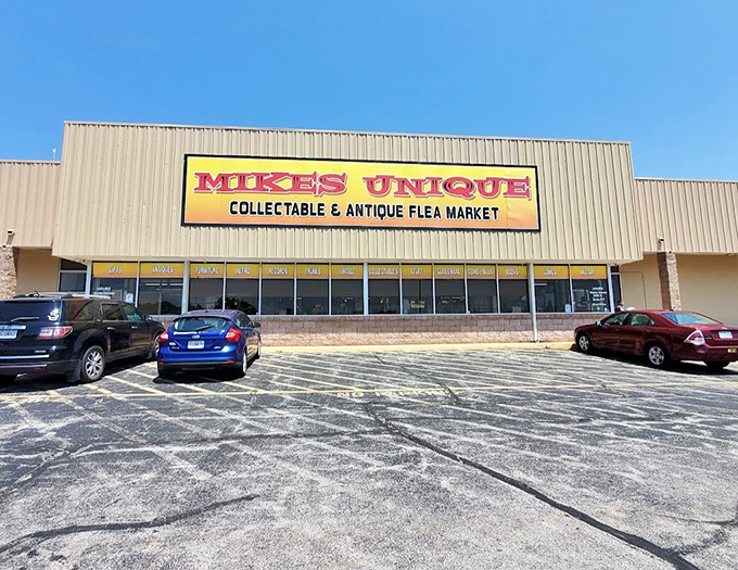 This warehouse cathedral of collectibles stretches beyond sight, promising adventures for the truly dedicated.