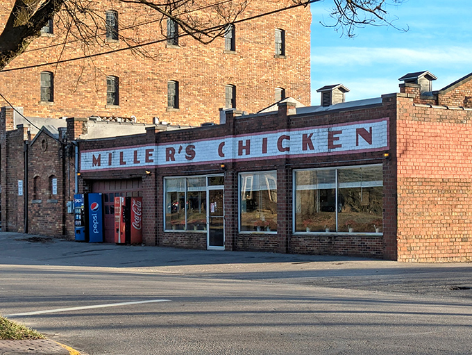 Miller's Chicken has been feeding Athens students comfort food that makes them forget about cafeteria mysteries.