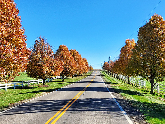 Millersburg's tree-lined streets whisper of simpler times when life moved at a more civilized pace.