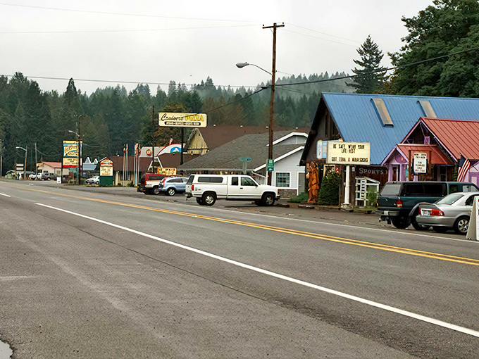 Packwood's rustic charm comes with a side of wilderness. The kind of place where you might spot an elk crossing Main Street during your morning coffee run.