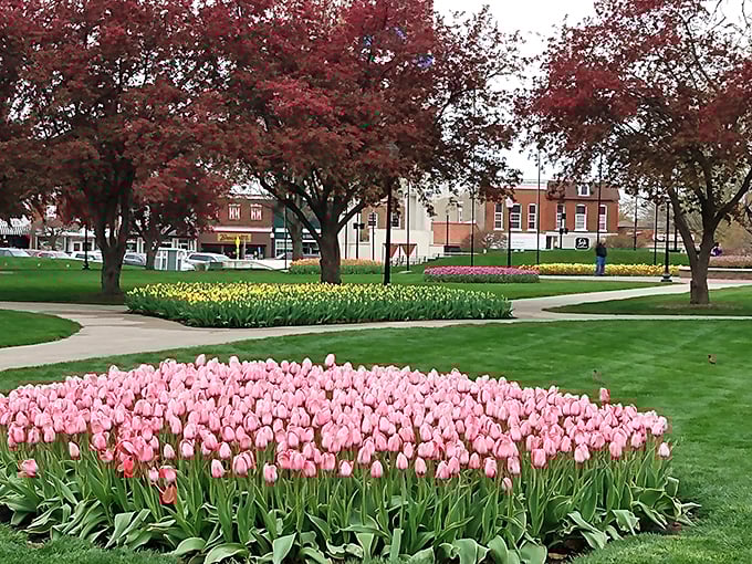 Pella's tulip displays aren't just beautiful&mdash;they're a free seasonal show that makes retirement here feel like living in a painting.