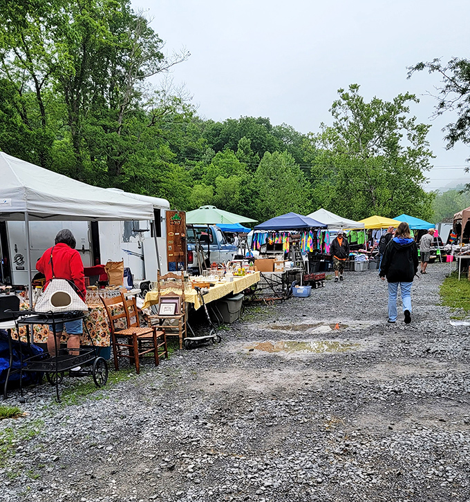 Pence Springs proves that the best flea markets happen under open skies with mountain breezes.