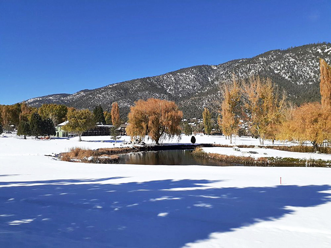 Pine Mountain Club's snowy landscape transforms into winter wonderland, where elevation equals natural air conditioning.