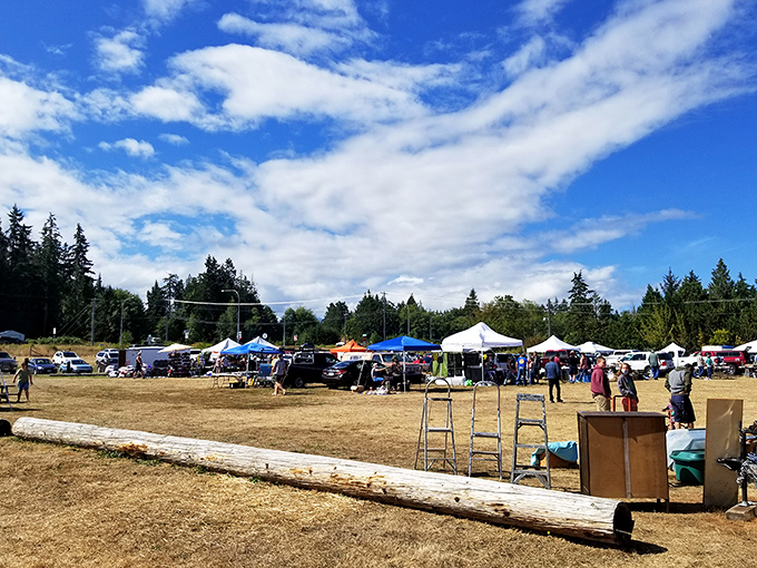 The Pumpkin Patch Flea Market spreads across an open field, where treasures wait under Washington's big sky.