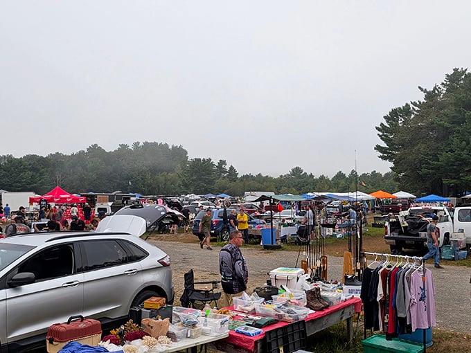 Rietta's misty morning setup feels like stumbling upon a secret society of treasure traders.