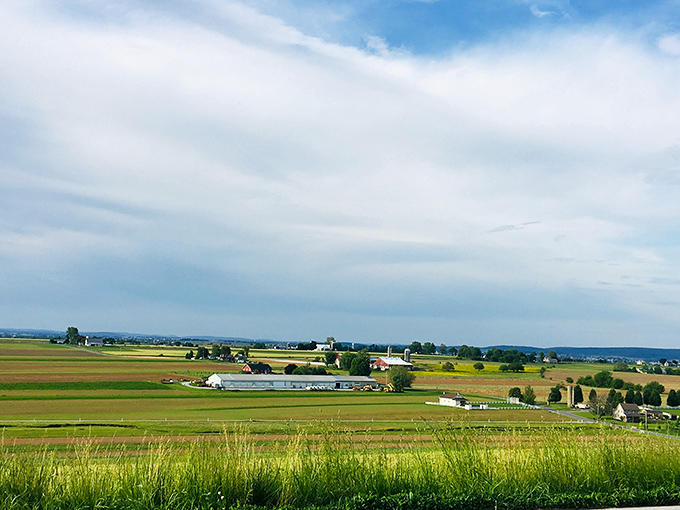 Ronks farmland stretches to the horizon &ndash; Mother Nature's masterclass in peaceful landscape design.