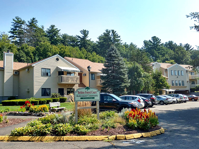 This retirement community nestled among evergreens shows that comfortable living and natural beauty can coexist perfectly in Connecticut's hills.