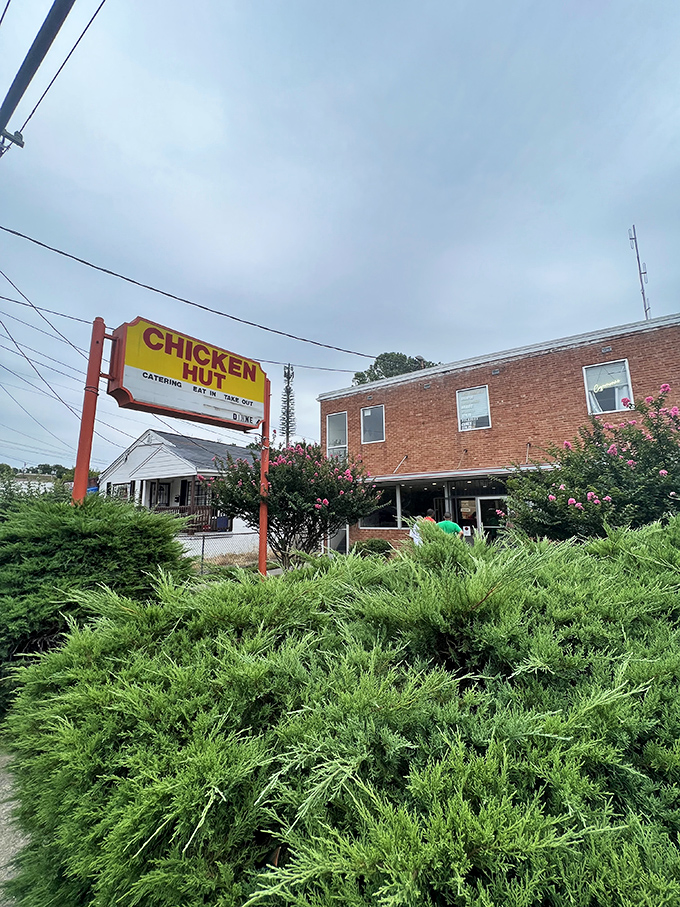 The Chicken Hut's vintage sign rises above lush greenery - a Durham institution that's stood the test of time.