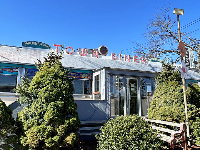 Silver streamlined perfection nestled among evergreens - breakfast with a side of New England charm.