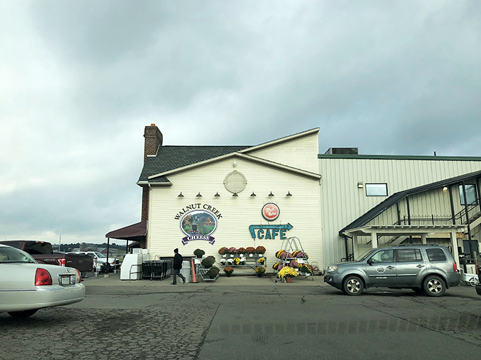 Walnut Creek Cheese stands proud as a temple to dairy delights, where cheese-making magic happens right before your eyes.