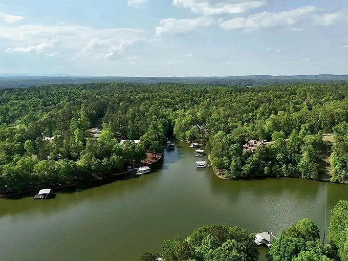 Wedowee's hidden coves curl through forests like nature's secret passages, offering waterfront solitude that Manhattan millionaires would envy.