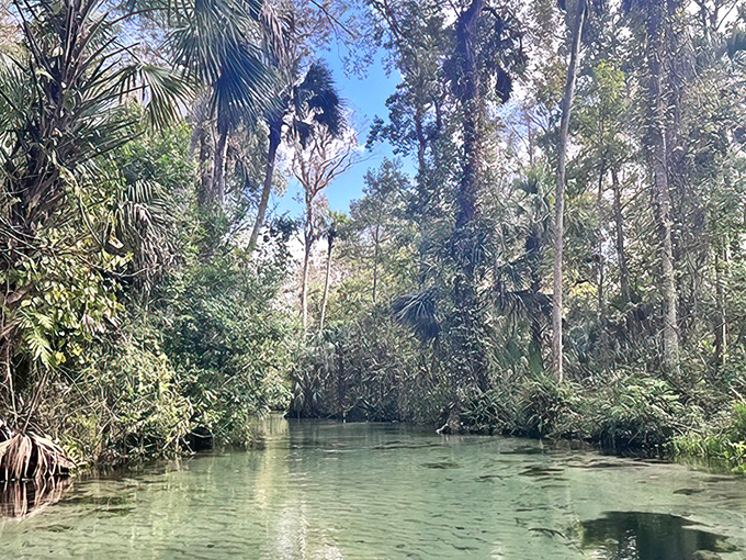 Fifty shades of green! This serene spring view makes you wonder why anyone bothered inventing swimming pools in the first place.