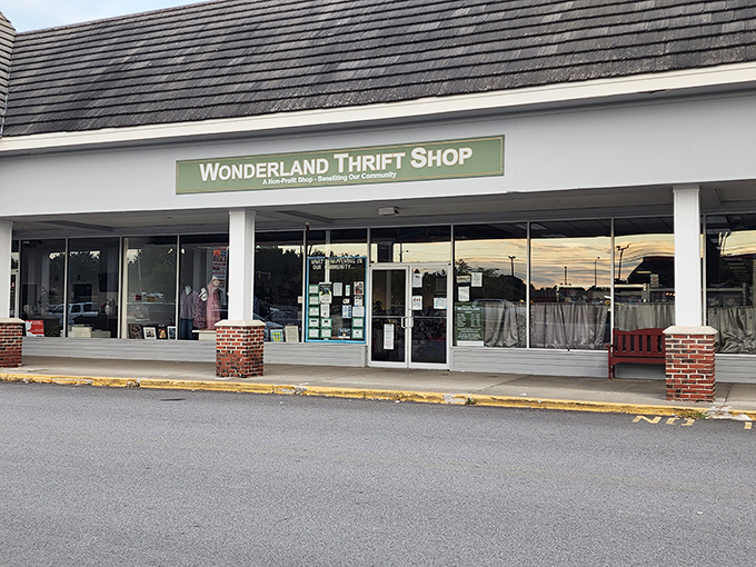 Wonderland Thrift Shop's clean storefront promises organized treasure hunting. The simple green sign marks the spot for bargain lovers.