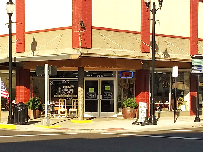 Downtown charm meets vintage treasure hunting at Albany Antique Mall &ndash; where the bicycle logo promises a ride through time.