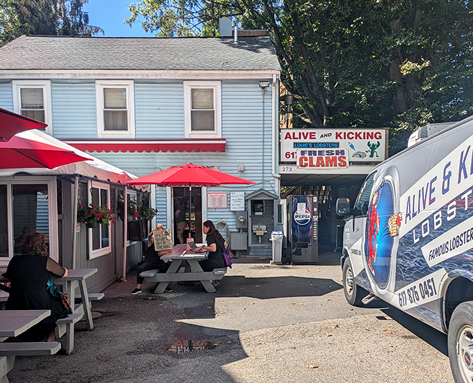 Alive & Kicking Lobsters: No frills, all flavor. This humble spot proves the best seafood often comes from the most unassuming places.