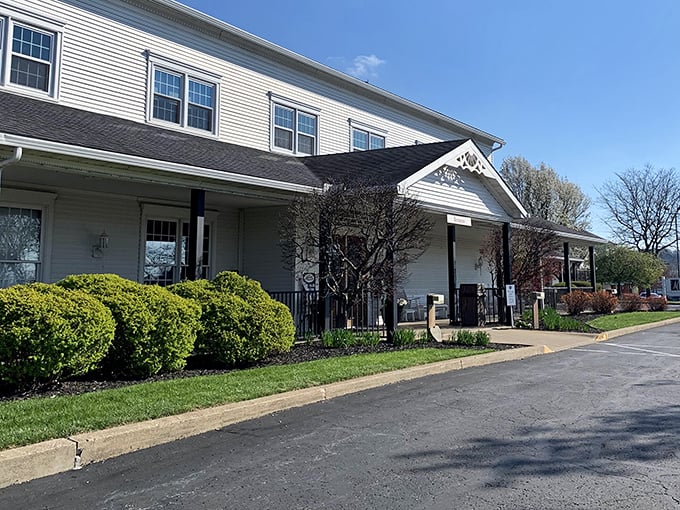 Spring blossoms frame this culinary destination where traditional recipes meet modern hospitality in perfect harmony and warmth.