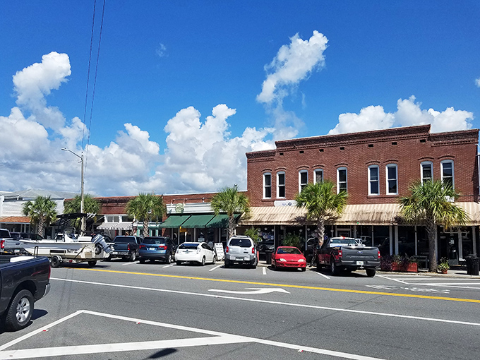 Historic brick buildings line Apalachicola's main street, housing shops where the prices won't make your Social Security check cry uncle.