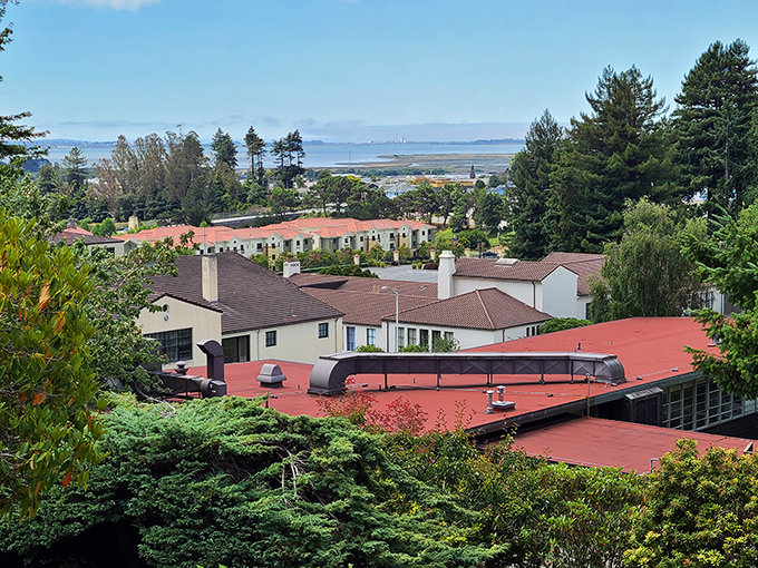 That lush coastal hillside setting makes Arcata look like a postcard from a more affordable California dream.