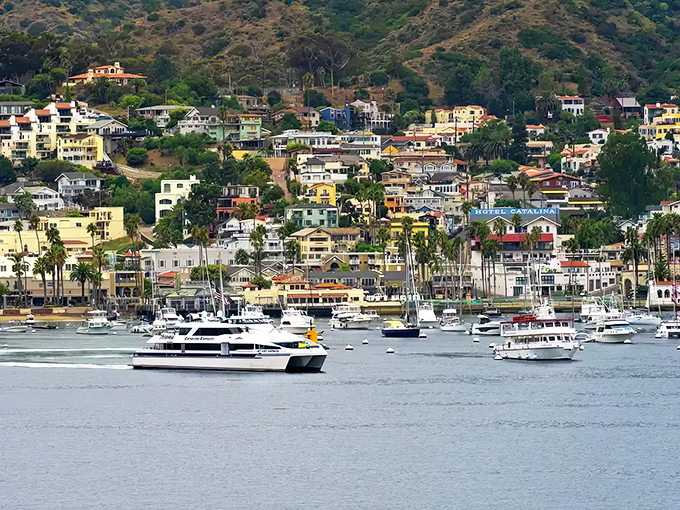 Catalina Island's Avalon Harbor glitters with boats and possibilities&mdash;just 26 miles but a world away from reality.