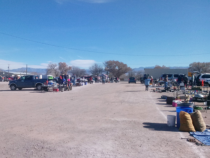 Desert flea markets offer the perfect blend of sunshine, fresh air, and amazing discoveries.