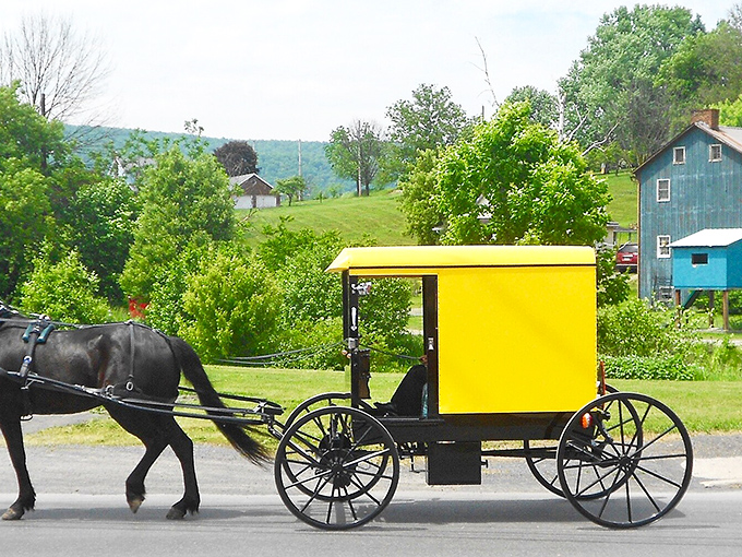 In Belleville, even the horses know it's worth the trip&mdash;the homemade root beer alone would justify the journey.