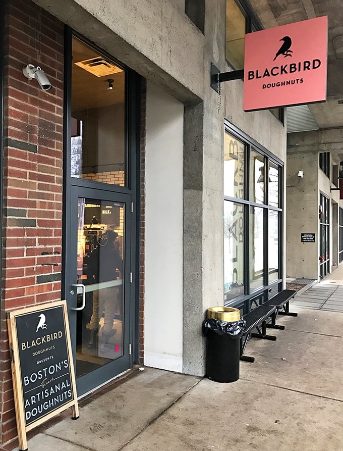 The sleek pink Blackbird Doughnuts sign against industrial concrete &ndash; where tradition meets innovation in every perfectly crafted bite.