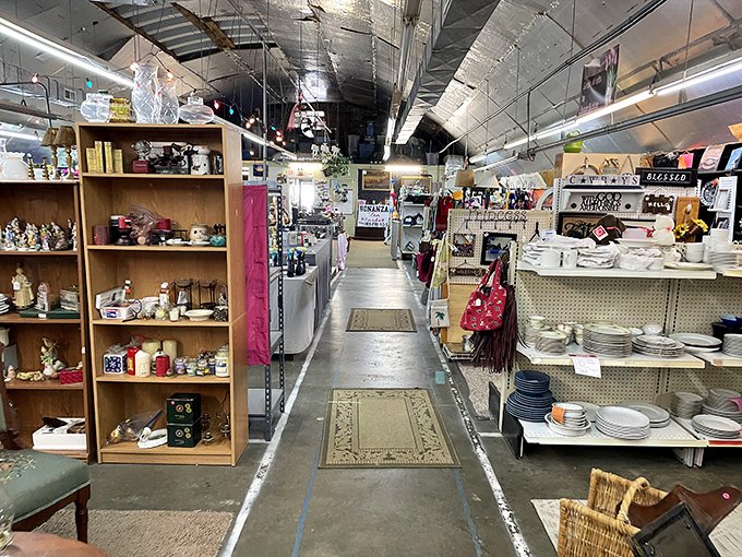 Those towering shelves create a maze of possibilities where every turn reveals new categories of collectibles and curiosities.