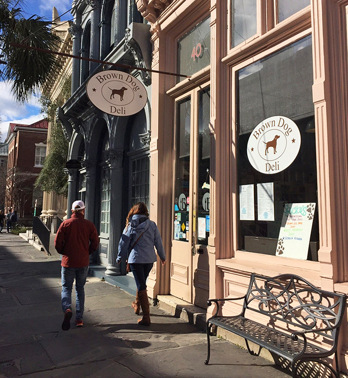 Nestled among Charleston's centuries-old buildings, Brown Dog Deli brings fresh ideas to an American classic without losing the soul.