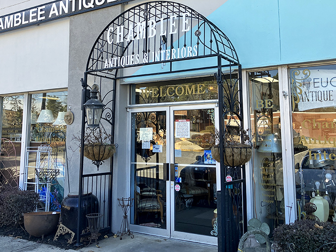 Step through this elegant gateway and enter a world where every item tells a story worth hearing and treasuring.