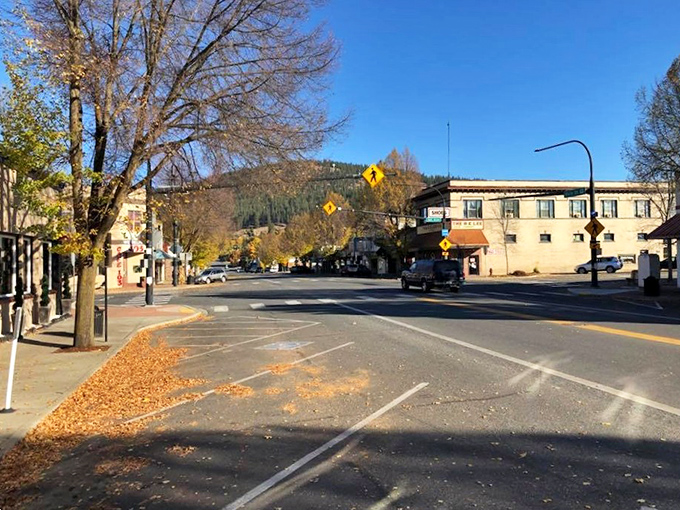 Fall in Colville means crunchy leaves creating a golden runway toward magnificent tree-covered hills.