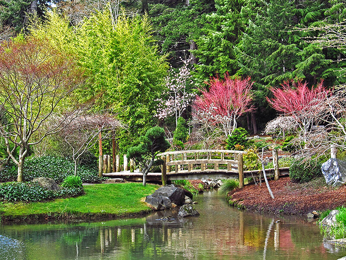 This Japanese-inspired garden in Coos Bay offers tranquil reflection spots where your retirement worries float away like cherry blossoms.