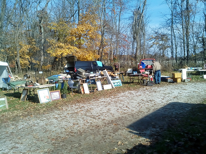 The simple pleasure of roadside discovery comes alive at Croy Creek, where vendors arrange their wares under a canopy of trees.