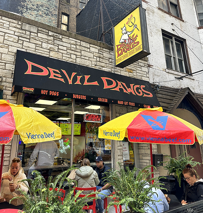 7b. devil dawgs on state (chicago)