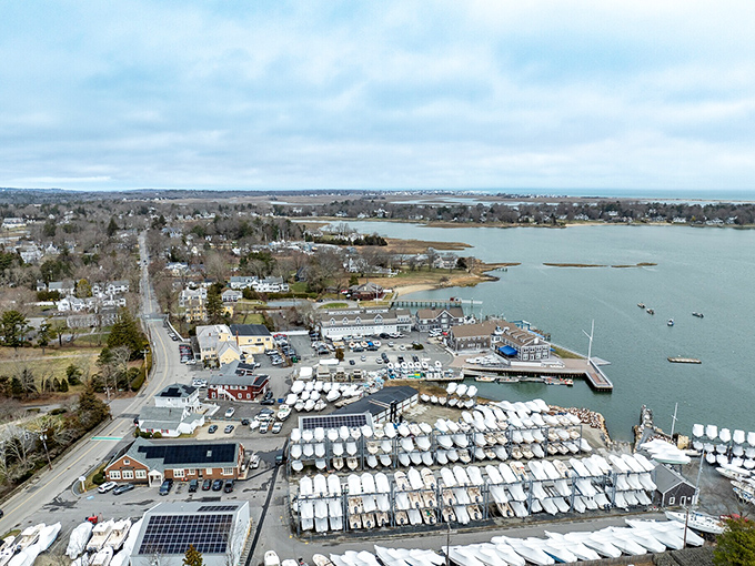 Marina life where hundreds of boats create a floating neighborhood of weekend adventures.