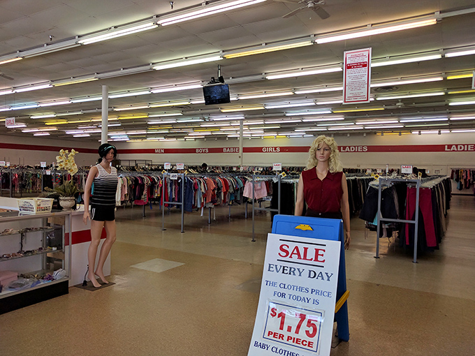 The bright interior and organized racks prove that family-friendly thrift shopping can be both fun and efficient.