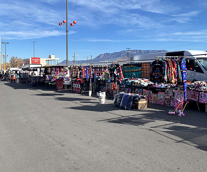 Expo New Mexico's flea market sprawls like a small city of treasures with the Sandia Mountains standing guard.