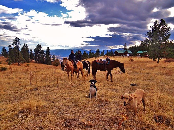 Saddle up and breathe it in&mdash;the crisp mountain air, the golden fields, and that quiet, timeless freedom.