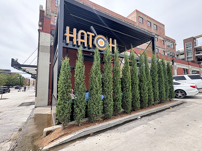 Cypress trees create a green oasis outside Hatch, where "Early Mood Food" transforms morning hunger into happiness.