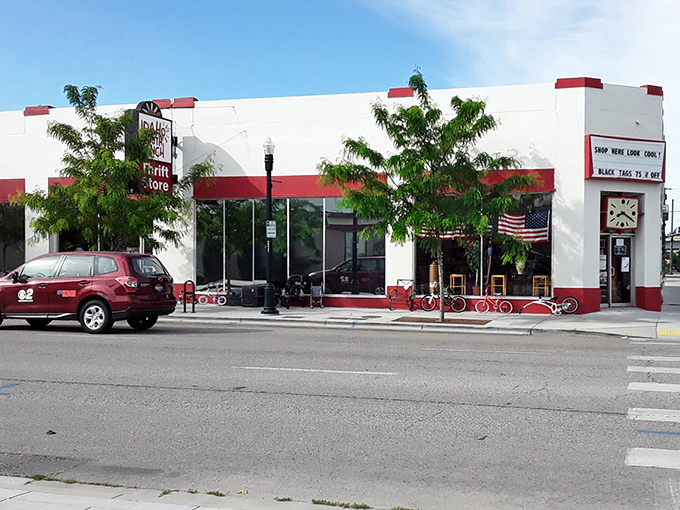 That red trim adds just the right touch of personality to what's clearly a serious treasure hunter's paradise.