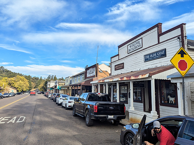 Julian's historic buildings line the main street like a living museum. That Wilcot Building has stories that would make your Instagram feed jealous.