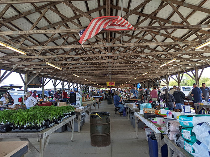Long tables stretch endlessly, each one promising discoveries that could change your entire weekend.
