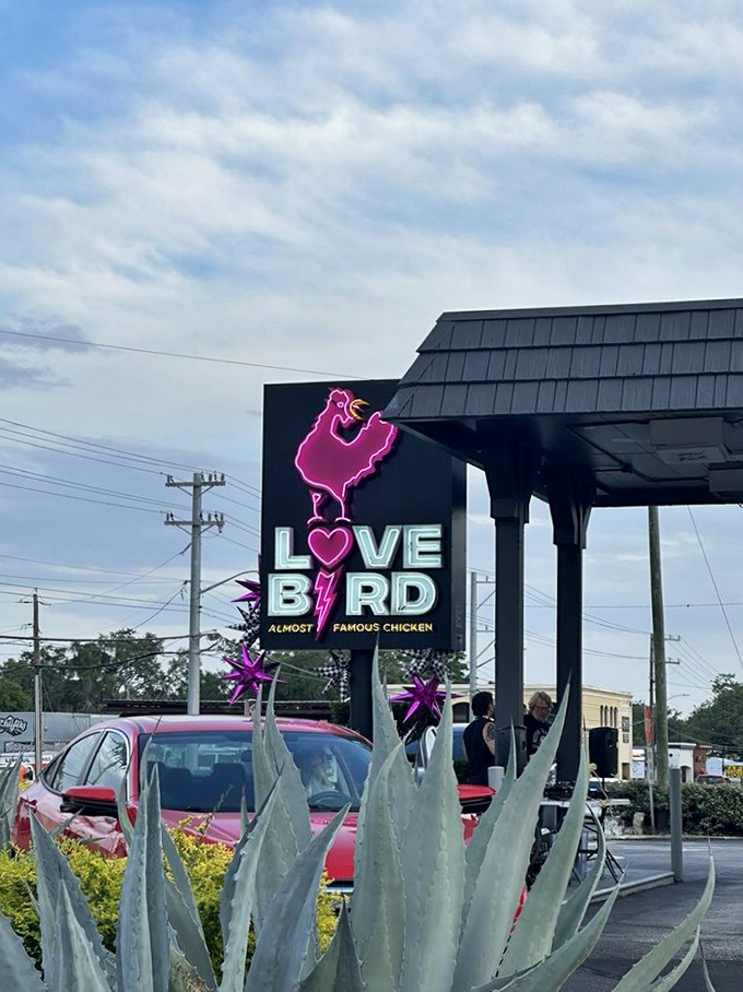 LoveBird's playful branding matches their creative approach to making almost-famous chicken absolutely unforgettable in Lakeland.